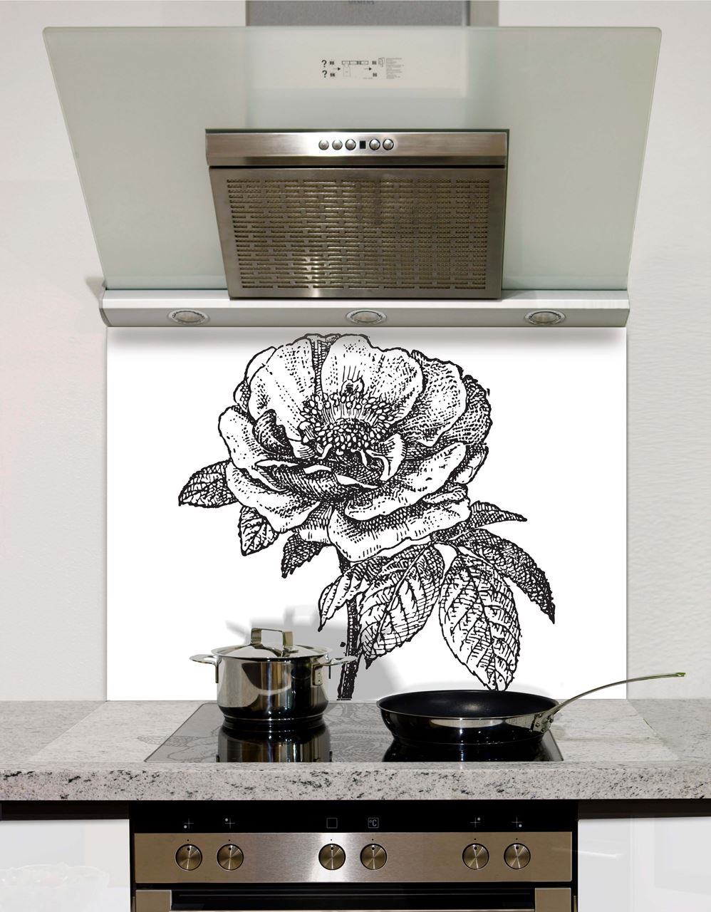 Rose of Provins Glass Splashback